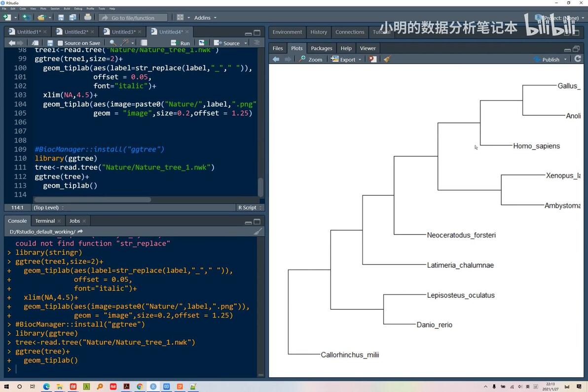 跟着Nature学画图~R语言ggtree展示进化树并添加图片注释~欢迎关注公众 - 哔哩哔哩