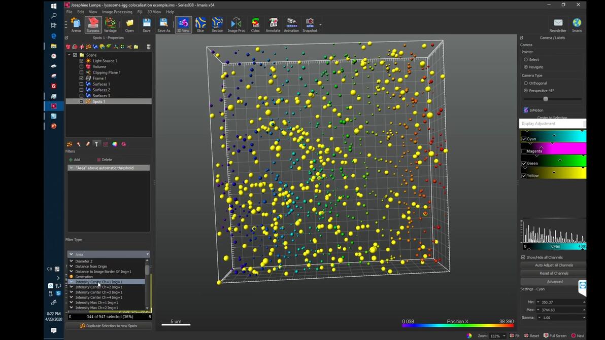 【Imaris教学】如何选择合适的Imaris模块进行数据分析 - 哔哩哔哩