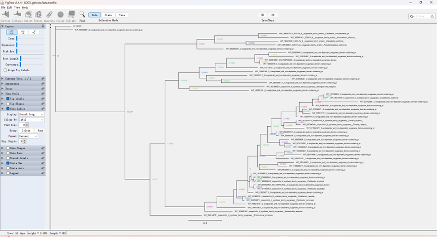 如何构建系统发育树：MAFFT+Gblocks+IQ-Tree - 哔哩哔哩