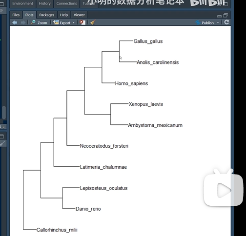 跟着Nature学画图~R语言ggtree展示进化树并添加图片注释~欢迎关注公众 - 哔哩哔哩