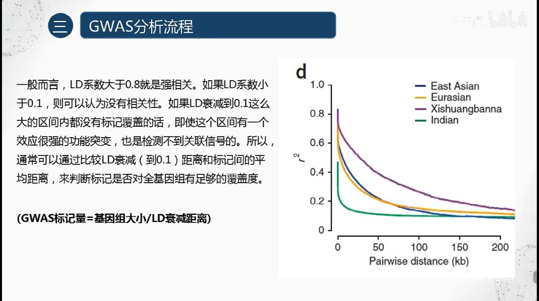 全基因组关联分析（GWAS）基本内容及实战 - 哔哩哔哩