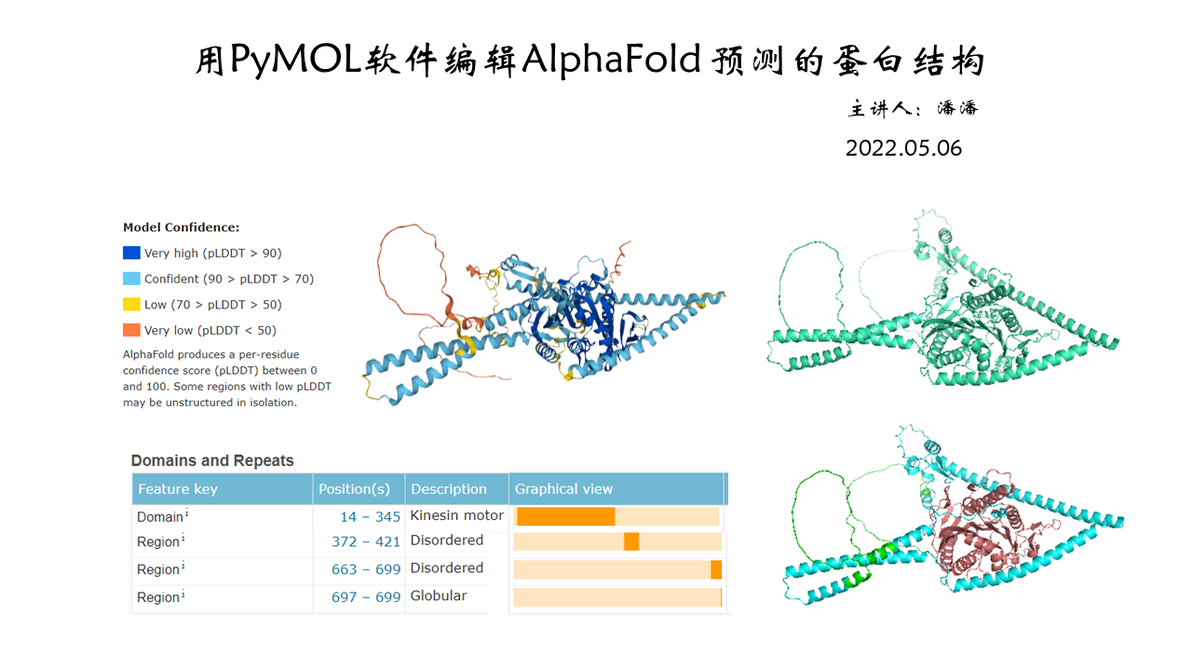 手把手带你获取AlphaFold 预测的蛋白文件 用PyMOL软件给蛋白结构域加 - 哔哩哔哩