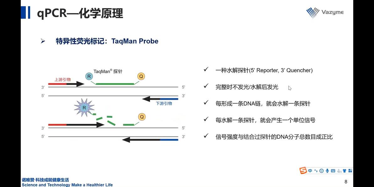 荧光定量（qPCR）原理、实验流程及结果分析 - 哔哩哔哩