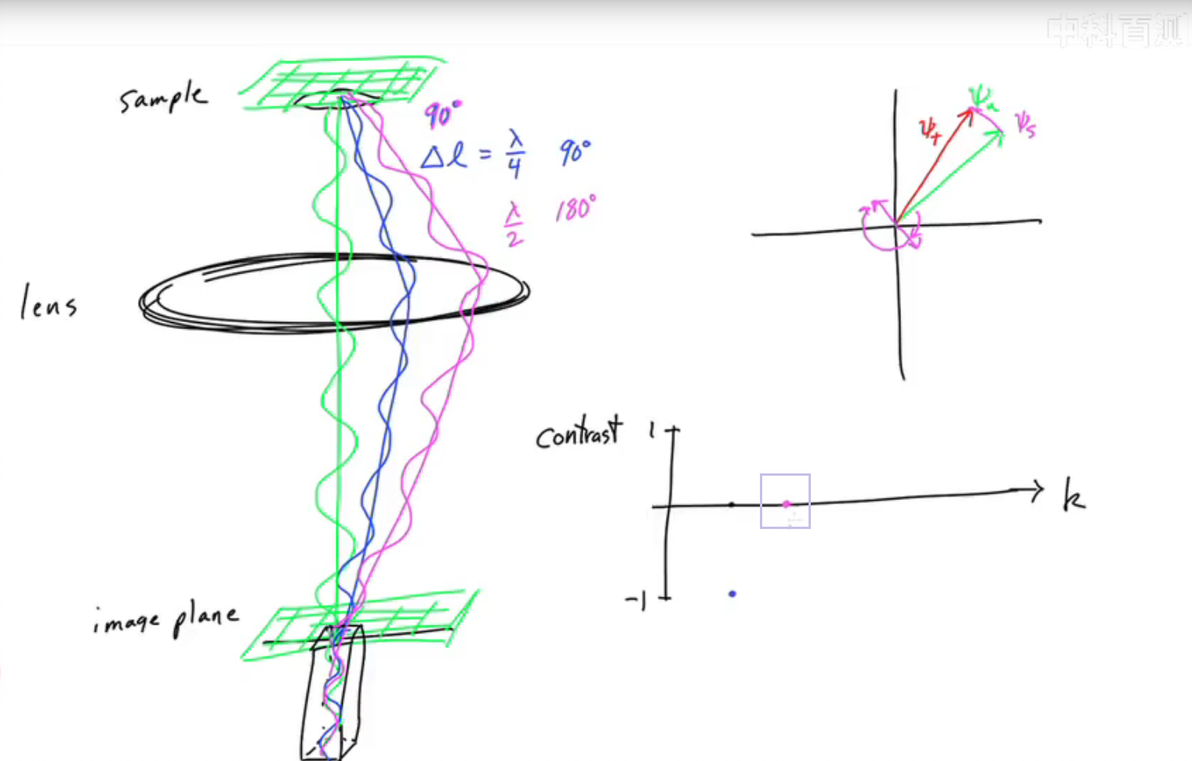 冷冻电子显微镜（cryo-EM）入门 双语翻译（The Contrast Tra - 哔哩哔哩
