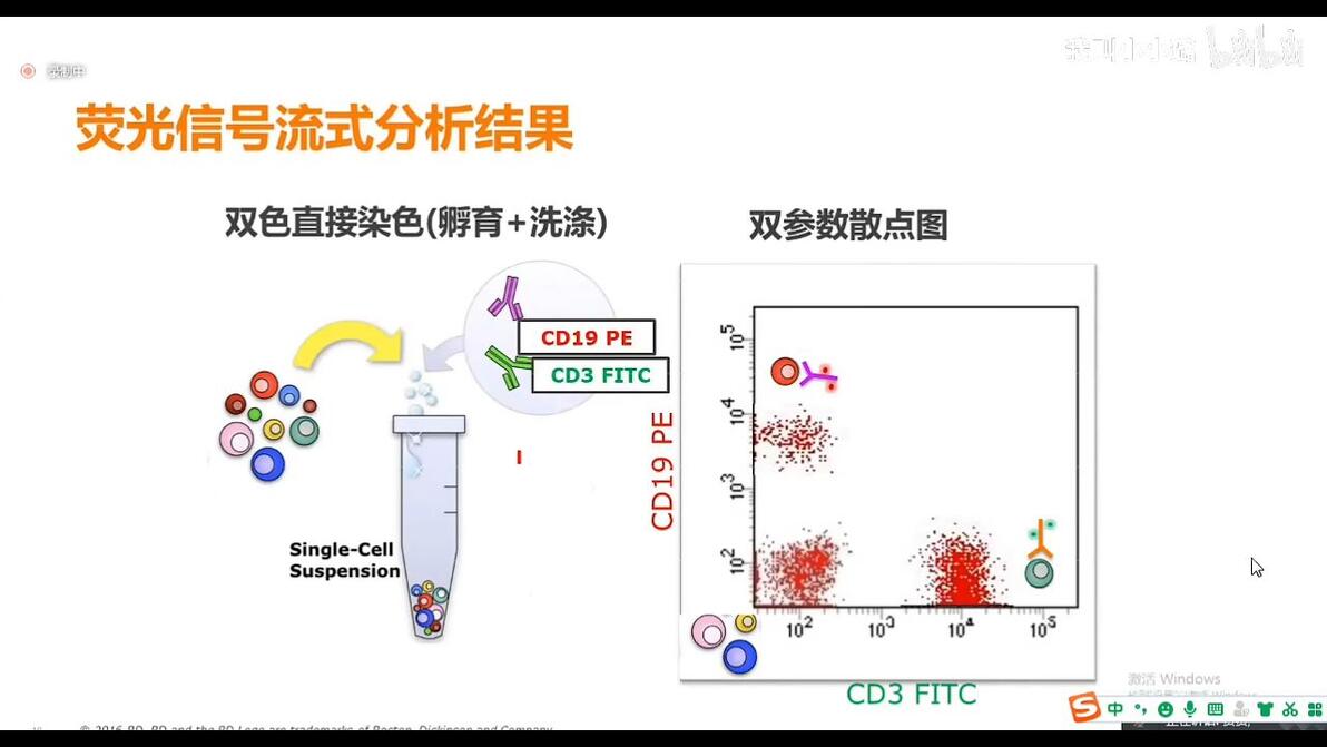 【研究生】流式细胞术原理、荧光通道、流式图、实验对照设计等 - 哔哩哔哩
