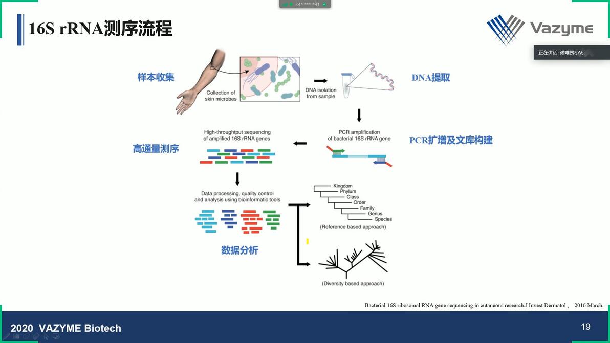 微生物组学研究-16s测序 从建库到数据分析全流程解析 - 哔哩哔哩