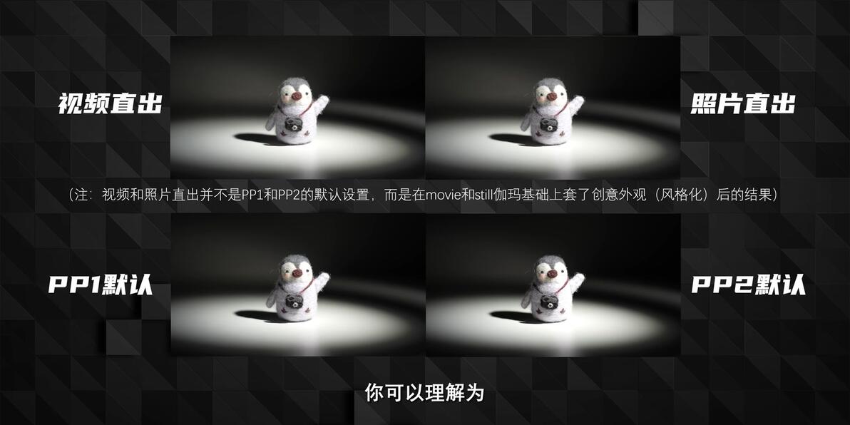 全网Z细！详解索尼PP值，正确曝光Slog/HLG全搞定丨伽玛膝点色域细节... - 哔哩哔哩