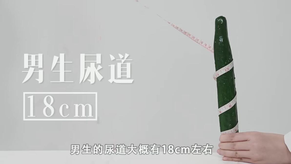女生站着尿尿有多爽?男生坐着尿尿就很奇怪吗? 关于嘘嘘这件小事 夹性芝士 哔哩哔哩
