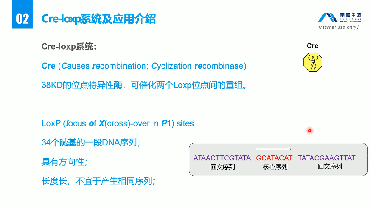 Cre-loxP系统介绍及使用问题 - 哔哩哔哩