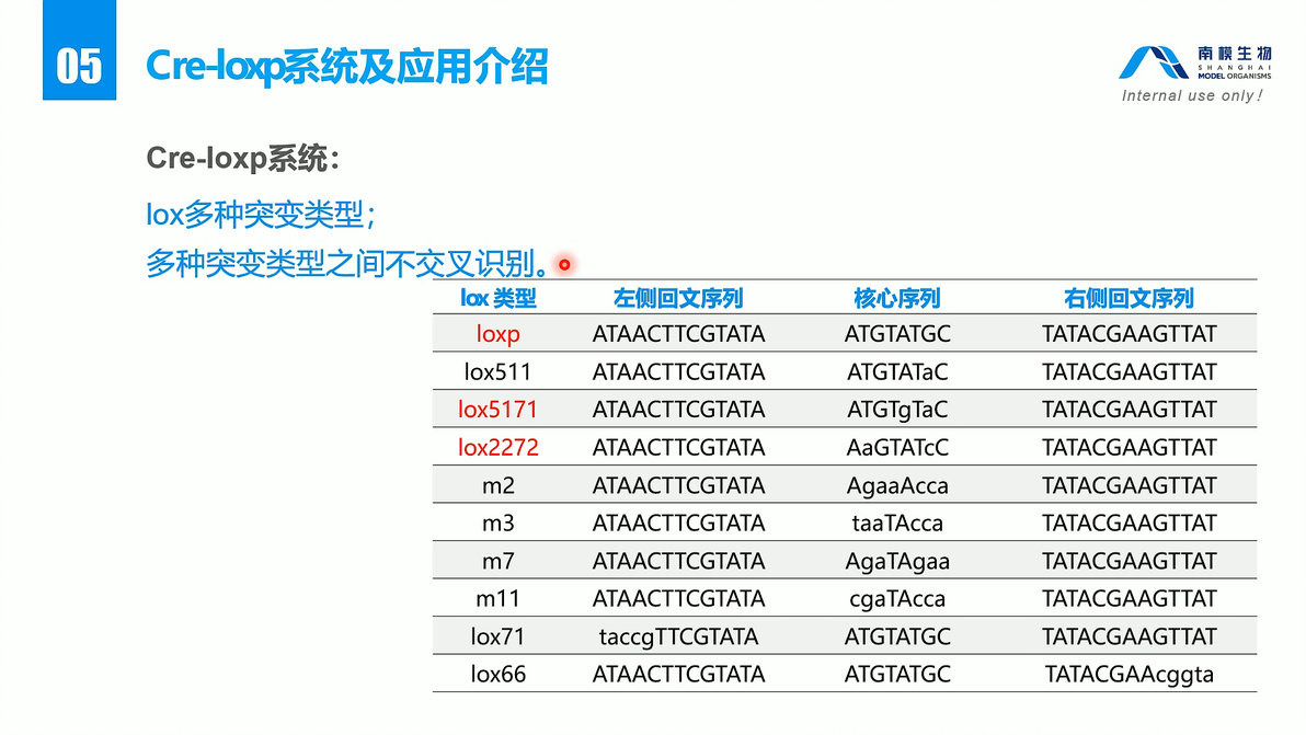 Cre-loxP系统介绍及使用问题 - 哔哩哔哩