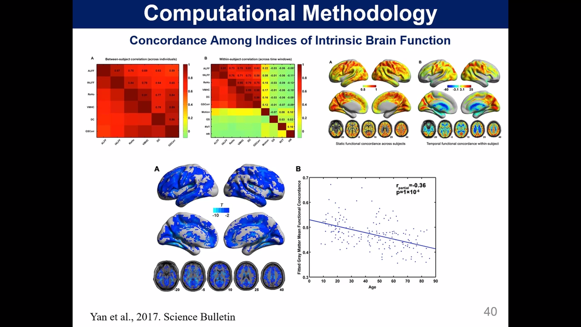 静息态功能磁共振成像(rs-fMRI)原理与数据分析,DPABI教程 - 哔哩哔哩