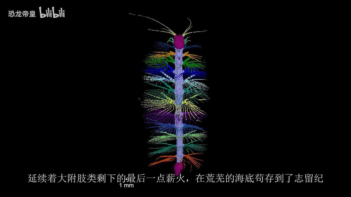 谁是海中的瑞士军刀？【大附肢类篇（2）】林乔利虫目 - 哔哩哔哩