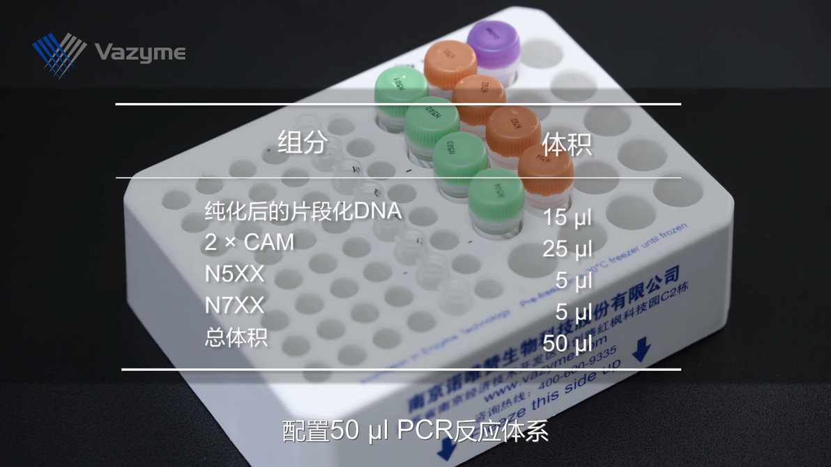 诺唯赞CUT & Tag实验操作指南 - 哔哩哔哩