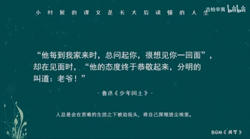 “爸爸的花儿落了,我已不再是小孩子” 长大后才读懂的课文 哔哩哔哩