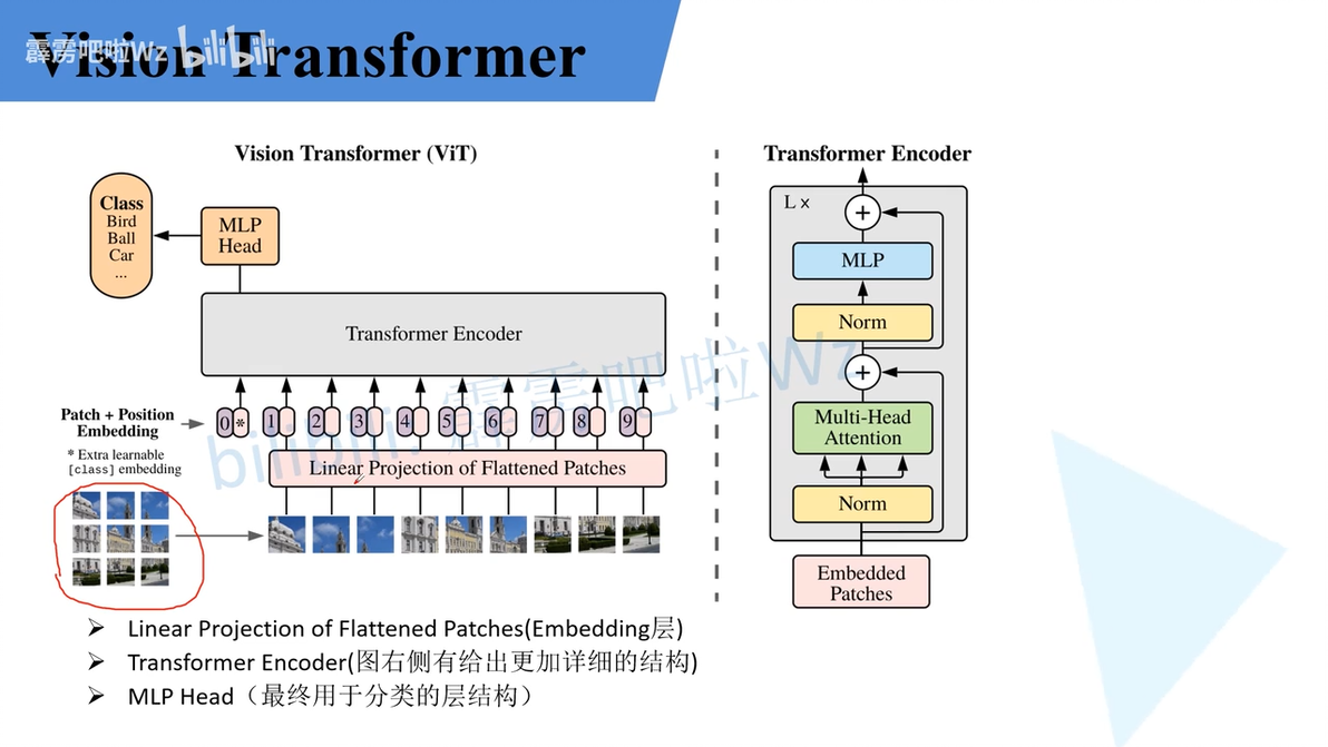 11.1 Vision Transformer(vit)网络详解 - 哔哩哔哩