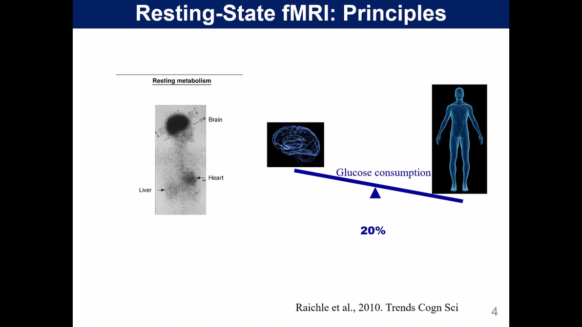 静息态功能磁共振成像(rs-fMRI)原理与数据分析,DPABI教程 - 哔哩哔哩