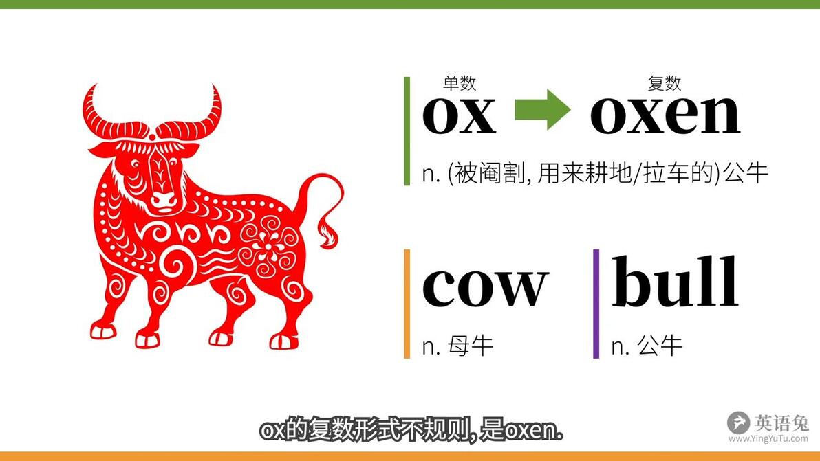 十二生肖的英文翻译: 兔是hare? 鼠是rat? 牛是ox? 猪是boar? - 哔哩哔哩