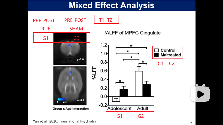 静息态功能磁共振成像(rs-fMRI)原理与数据分析,DPABI教程 - 哔哩哔哩