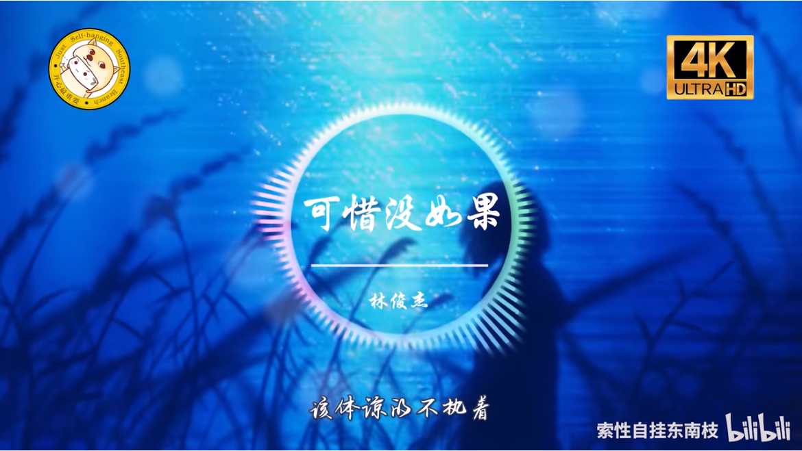 【hi Res无损】林俊杰《可惜没如果》「倘若那天 把该说的话好好说」动态 哔哩哔哩