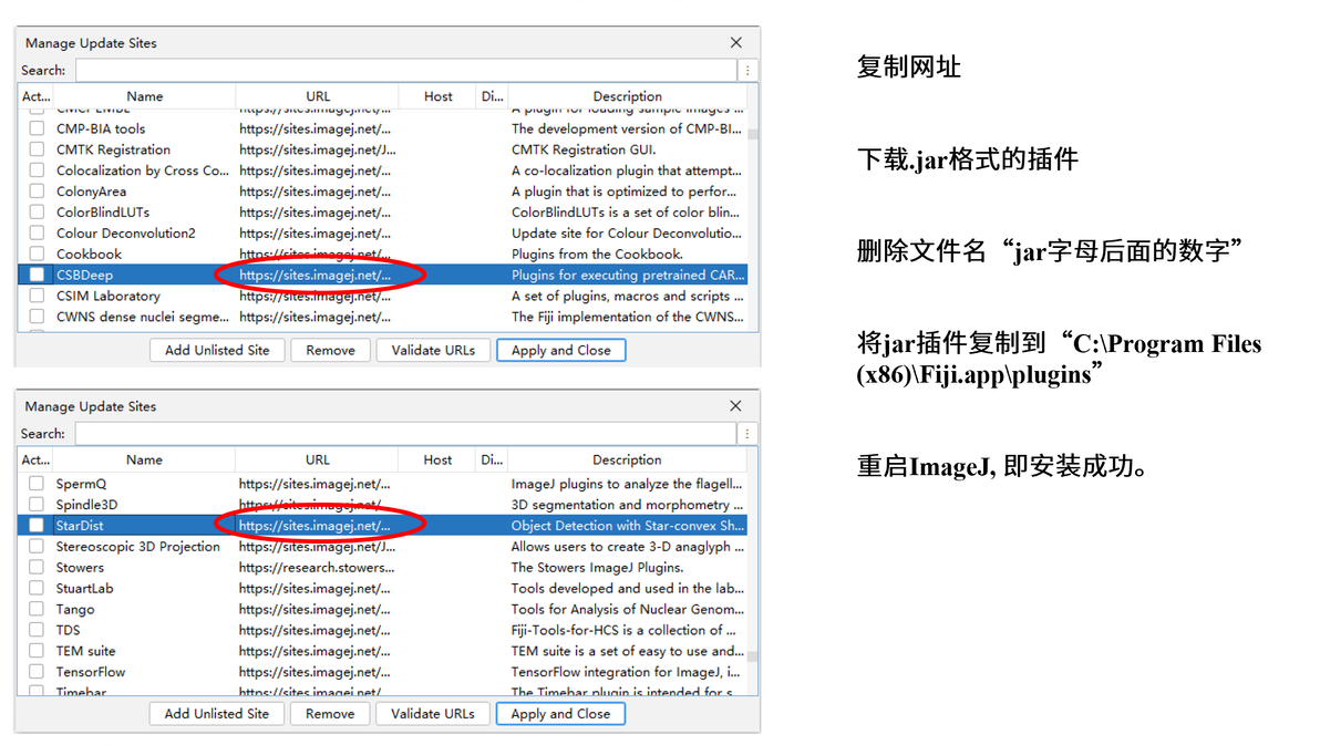 『超实用』ImageJ图像处理 - StarDist助力高难度细胞识别统计 - 哔哩哔哩