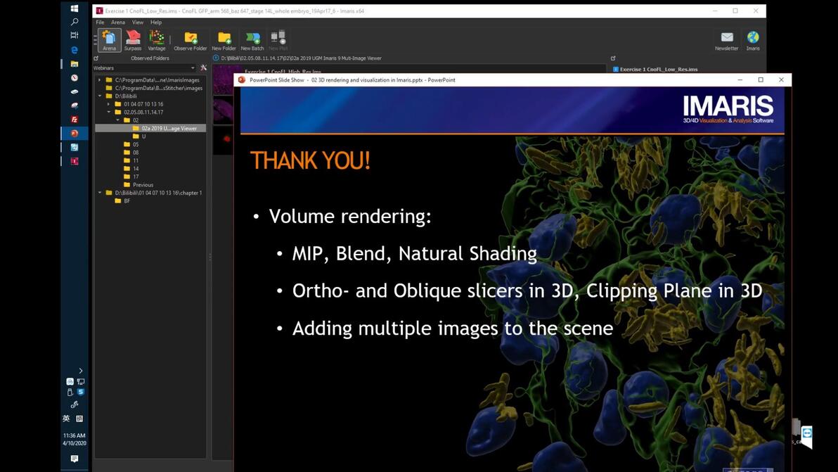 【Imaris教学】Imaris数据可视化教程 - 哔哩哔哩