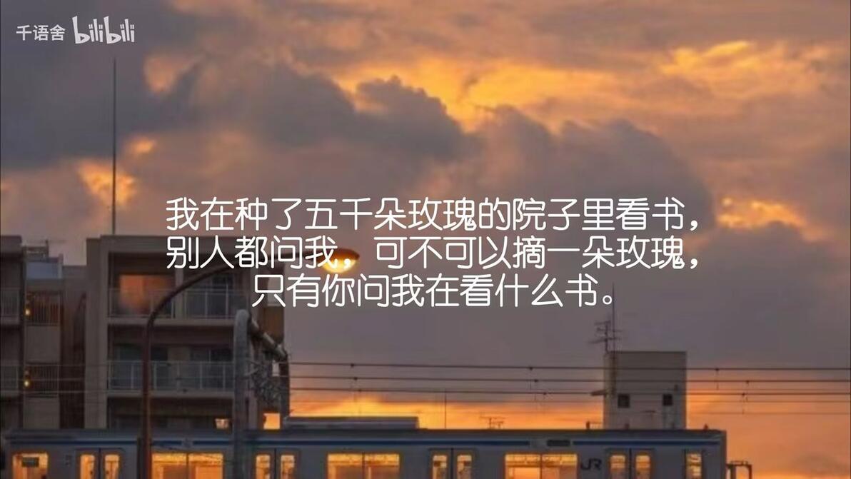 【我偏要在这薄情的世界讲深情的话】温柔又心酸至极的文案 哔哩哔哩
