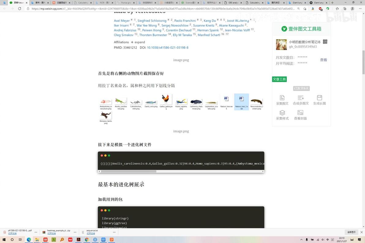 跟着nature学画图~r语言ggtree展示进化树并添加图片注释~欢迎关注公众 哔哩哔哩 
