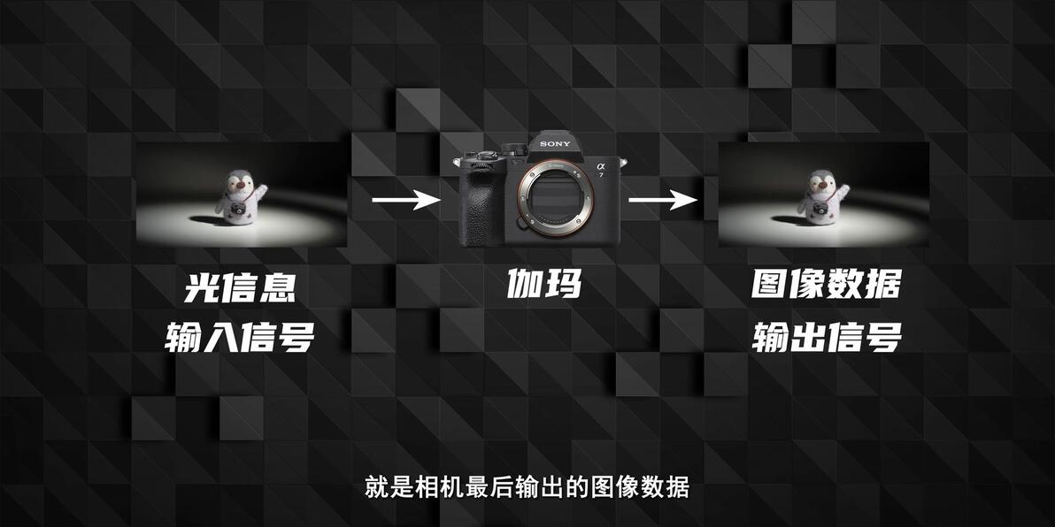 全网Z细！详解索尼PP值，正确曝光Slog/HLG全搞定丨伽玛膝点色域细节... - 哔哩哔哩