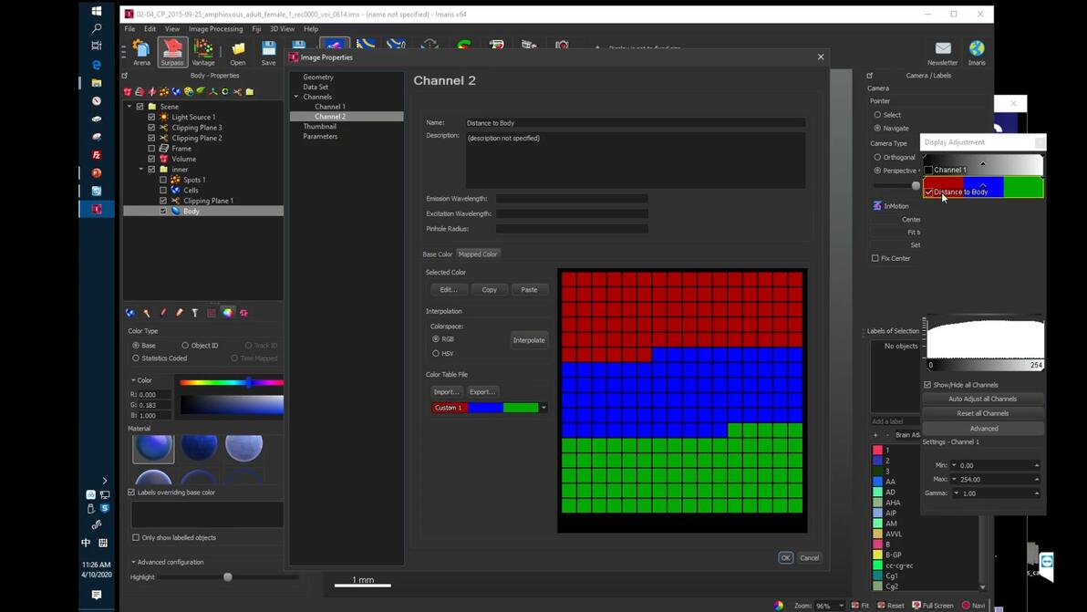 【Imaris教学】Imaris数据可视化教程 - 哔哩哔哩