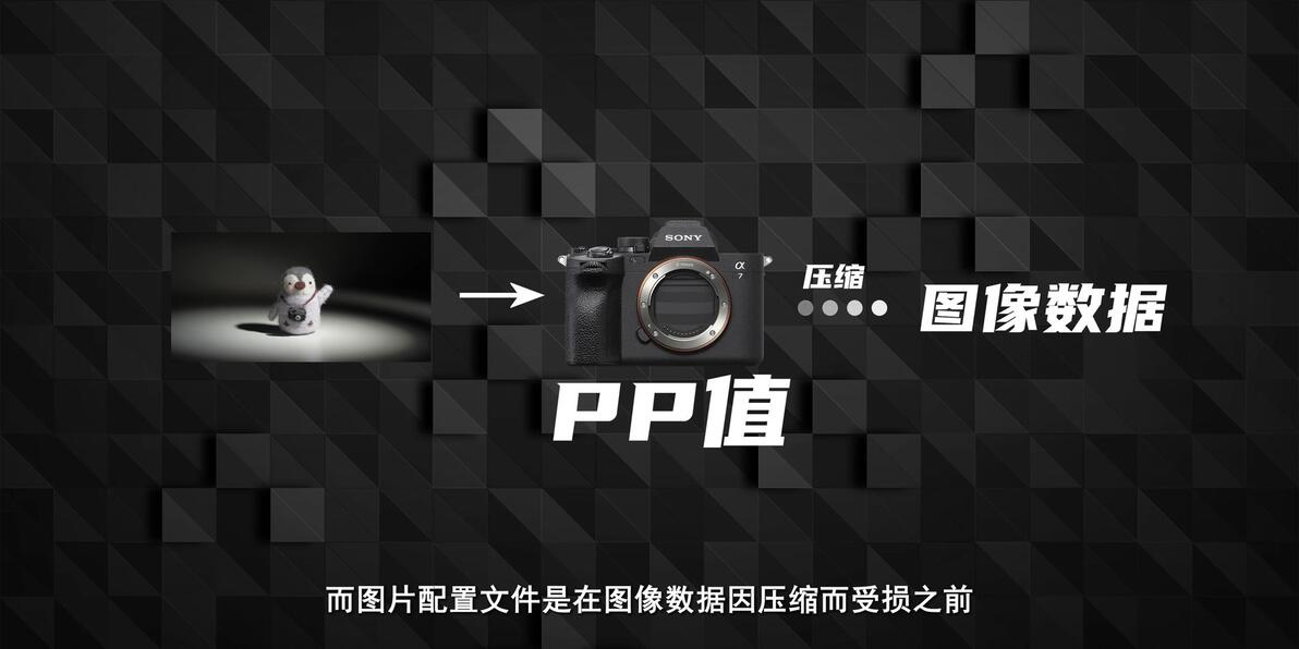 全网Z细！详解索尼PP值，正确曝光Slog/HLG全搞定丨伽玛膝点色域细节... - 哔哩哔哩