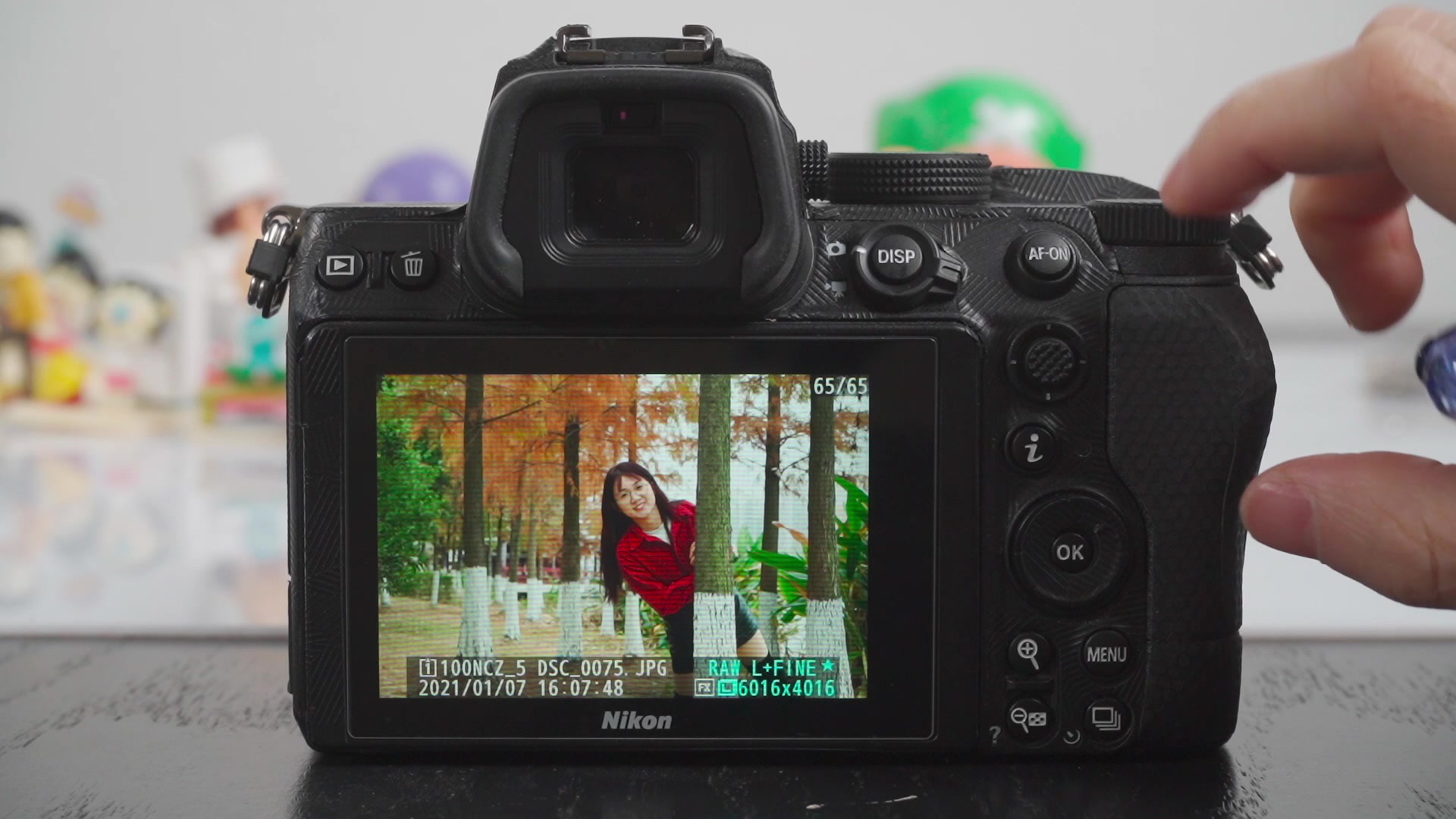 尼康Z5入门到精通班0基础摄影人像风光教程_哔哩哔哩_bilibili