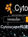 一网打尽：cytoscape详细教程 - 哔哩哔哩