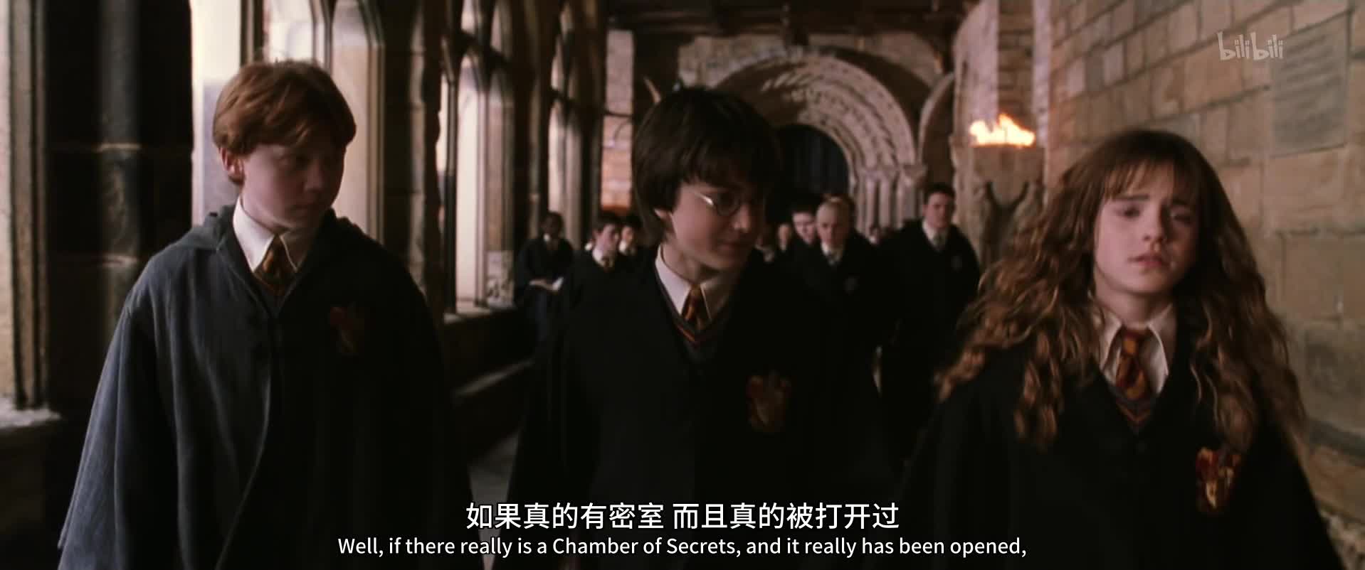哈利·波特与密室精彩看点 5-电影-高清正版在线观看-bilibili-哔哩哔哩